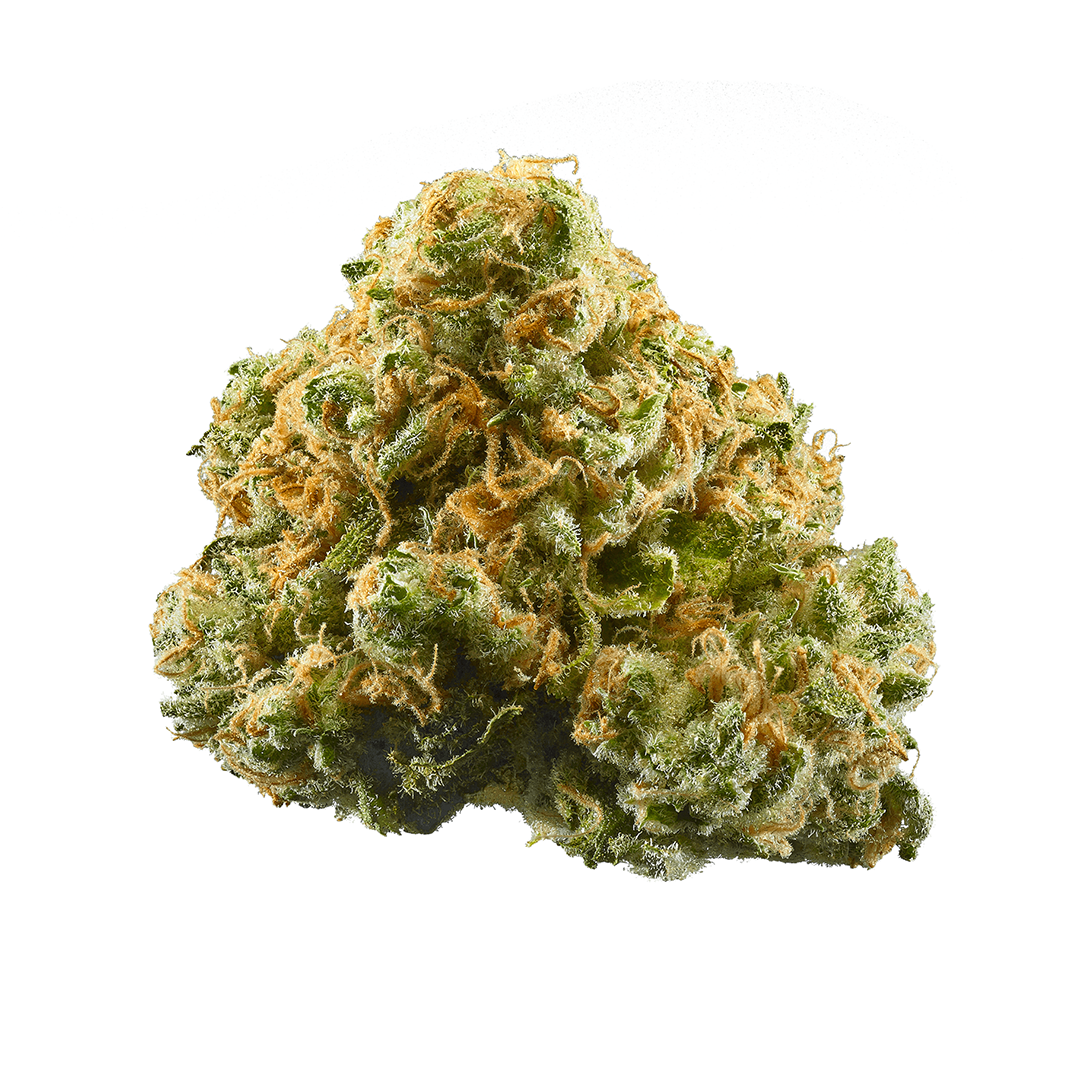 Maple Leaf Indica Cannabis Strain | Wirkung, Aroma & Terpenprofil